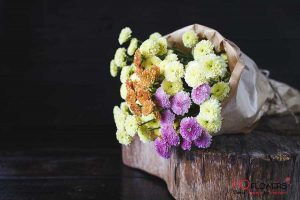 The story of Calimero flowers - Send Flowers & Gifts online to Vietnam ...